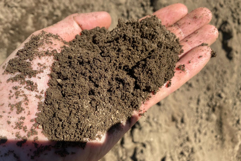 The Structure, Types, and Function of Topsoil…