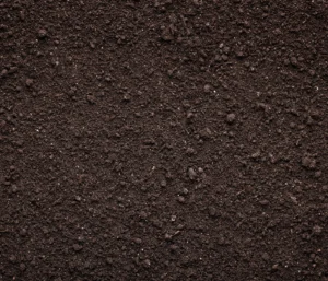 close up of topsoil dirt | Bray Topsoil & Gravel