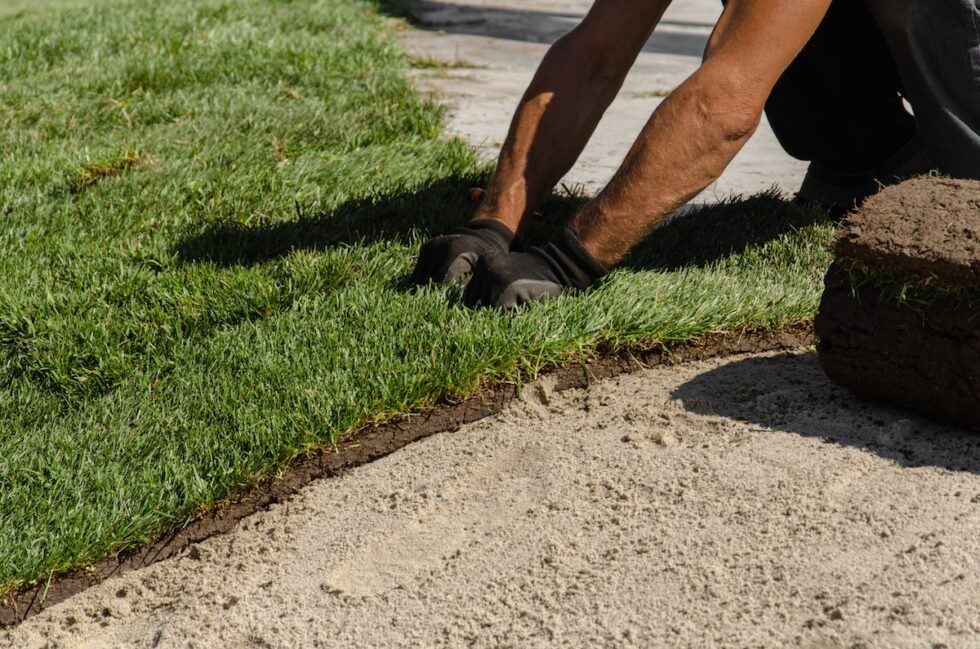 The Best Topsoil for Grass Seed: Tips for a Thriving Lawn