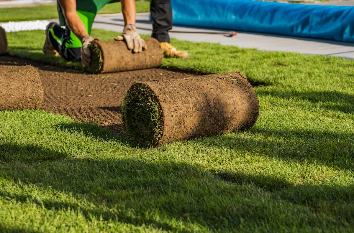 Sod & Natural Grass Turf Rolling Over | Bray Topsoil & Gravel
